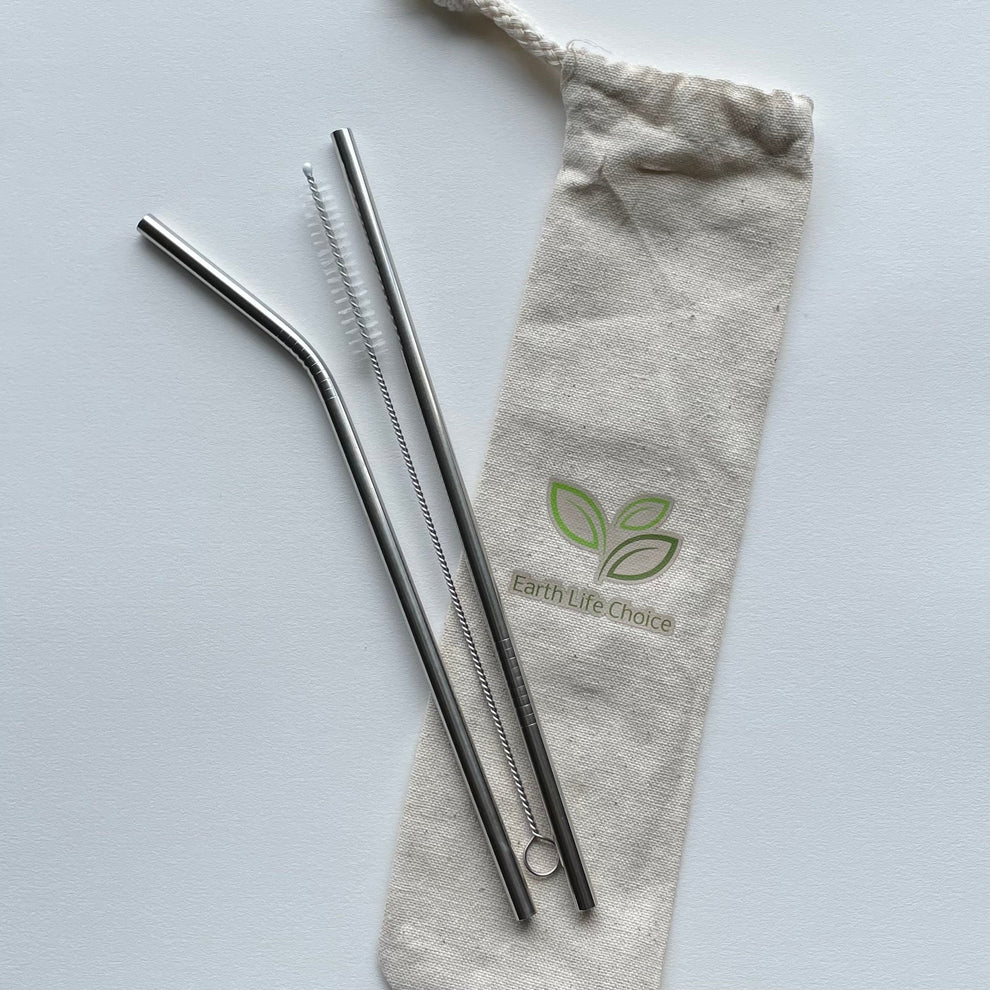 Stainless Steel Straws - 2 pack – Gillian Drew Life Transitions